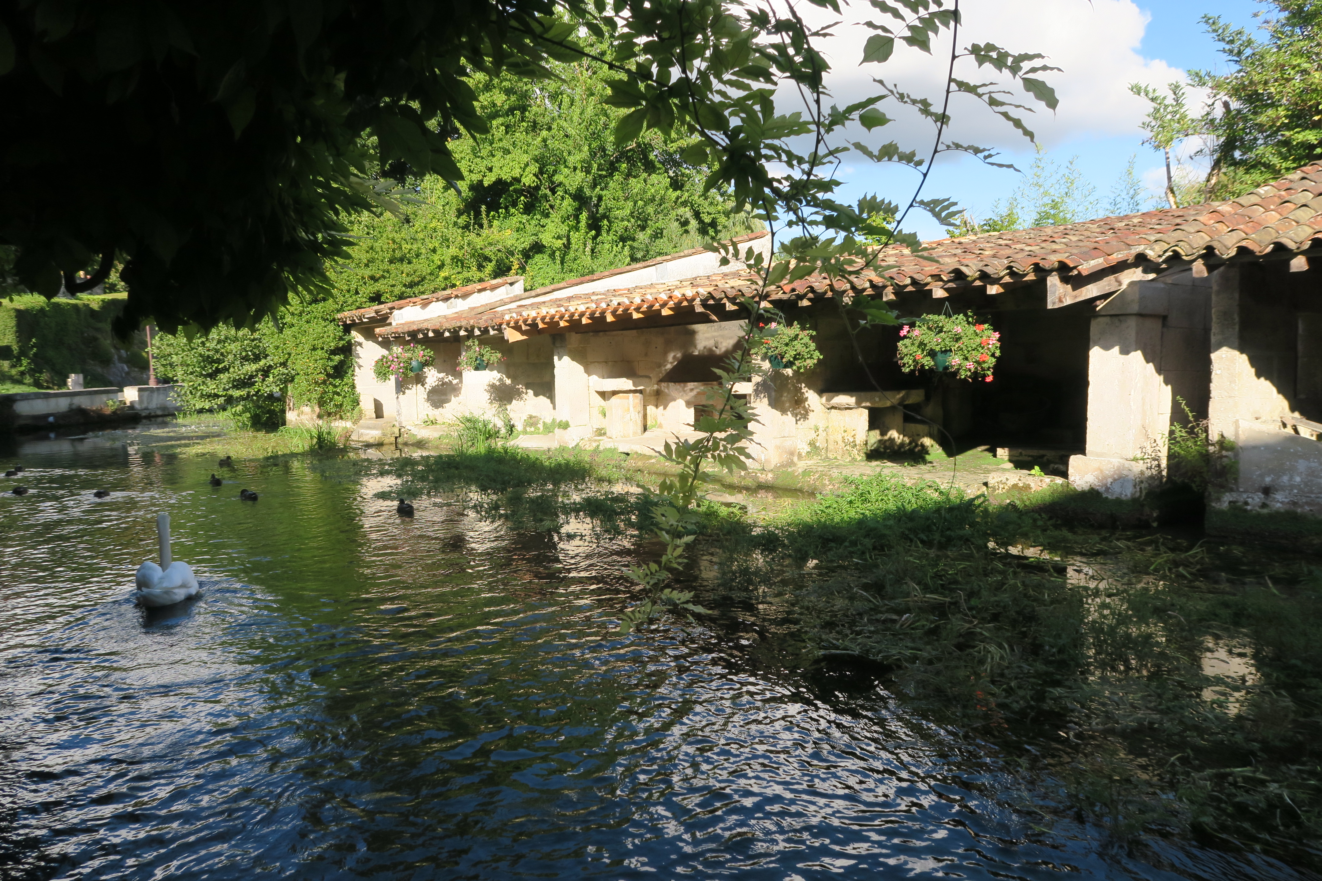 Les sorties Natures… | Mouthiers sur Boëme Les sorties Natures… | Mouthiers sur Boëme